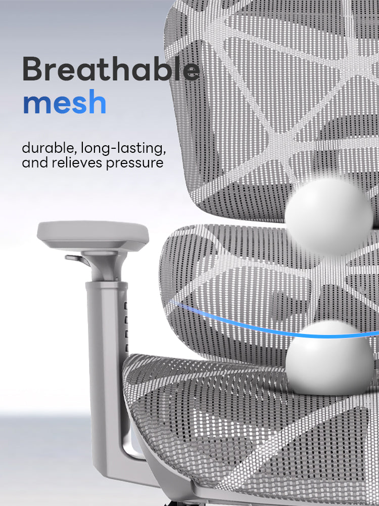 Xpanse LS900 Ergonomic Chair – Xpanse Official Store