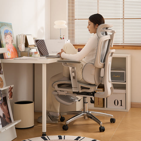 Xpanse LS900 Ergonomic Chair – Xpanse Official Store